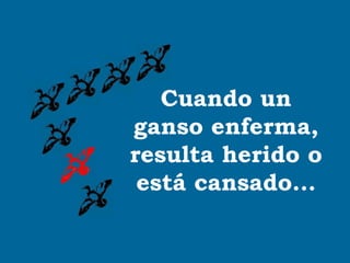 El ejemplo de los gansos | PPT