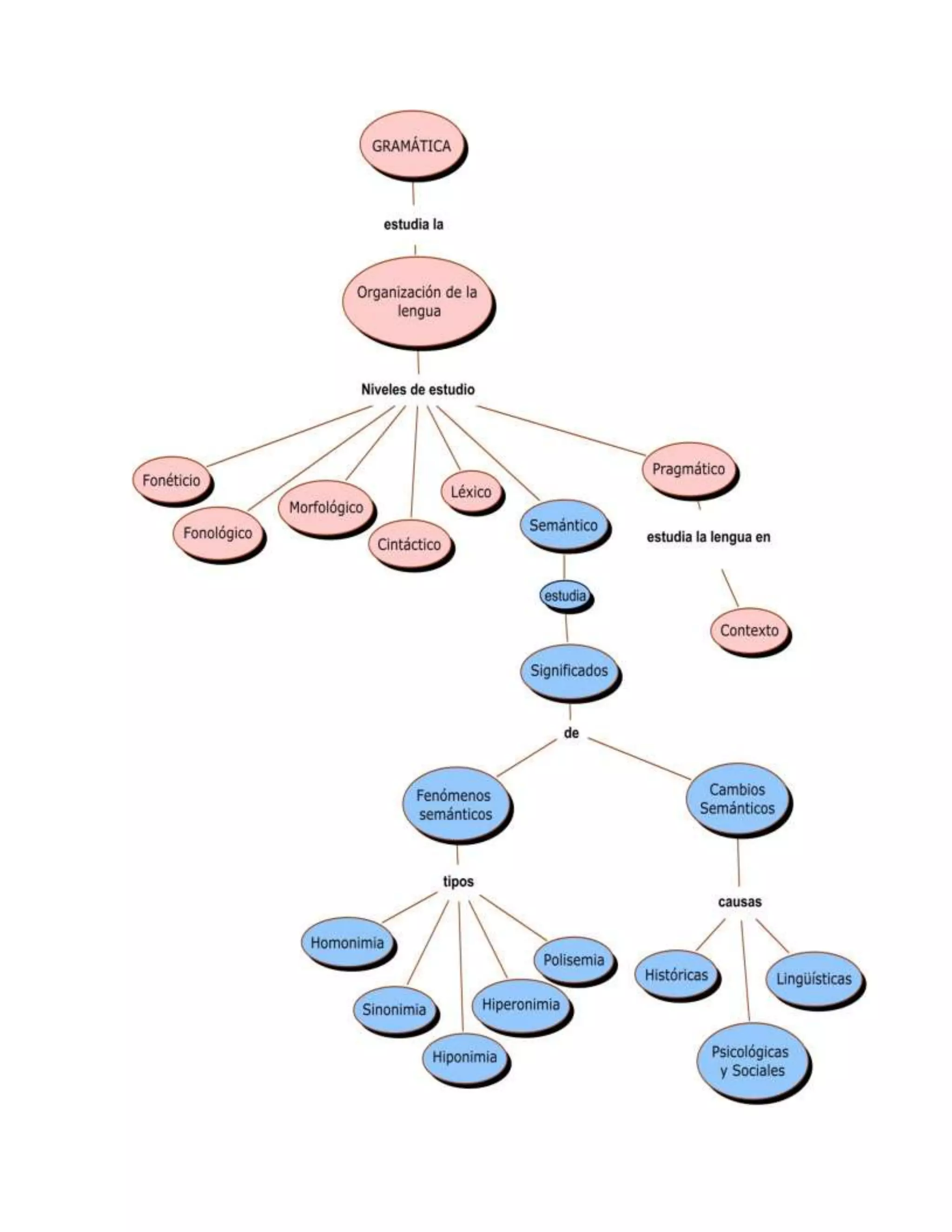 Ejemplo mapa conceptual | DOCX