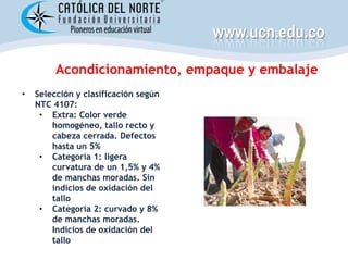 Ejemplo Presentación Actividad Final Empaque De Productos Agrícolas Pptx
