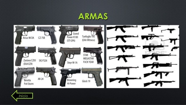 Tipos de Armas de Fuego