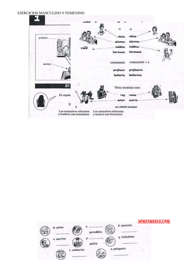 Ejercicio masculino o femenino(w)(aprendeele) | PDF