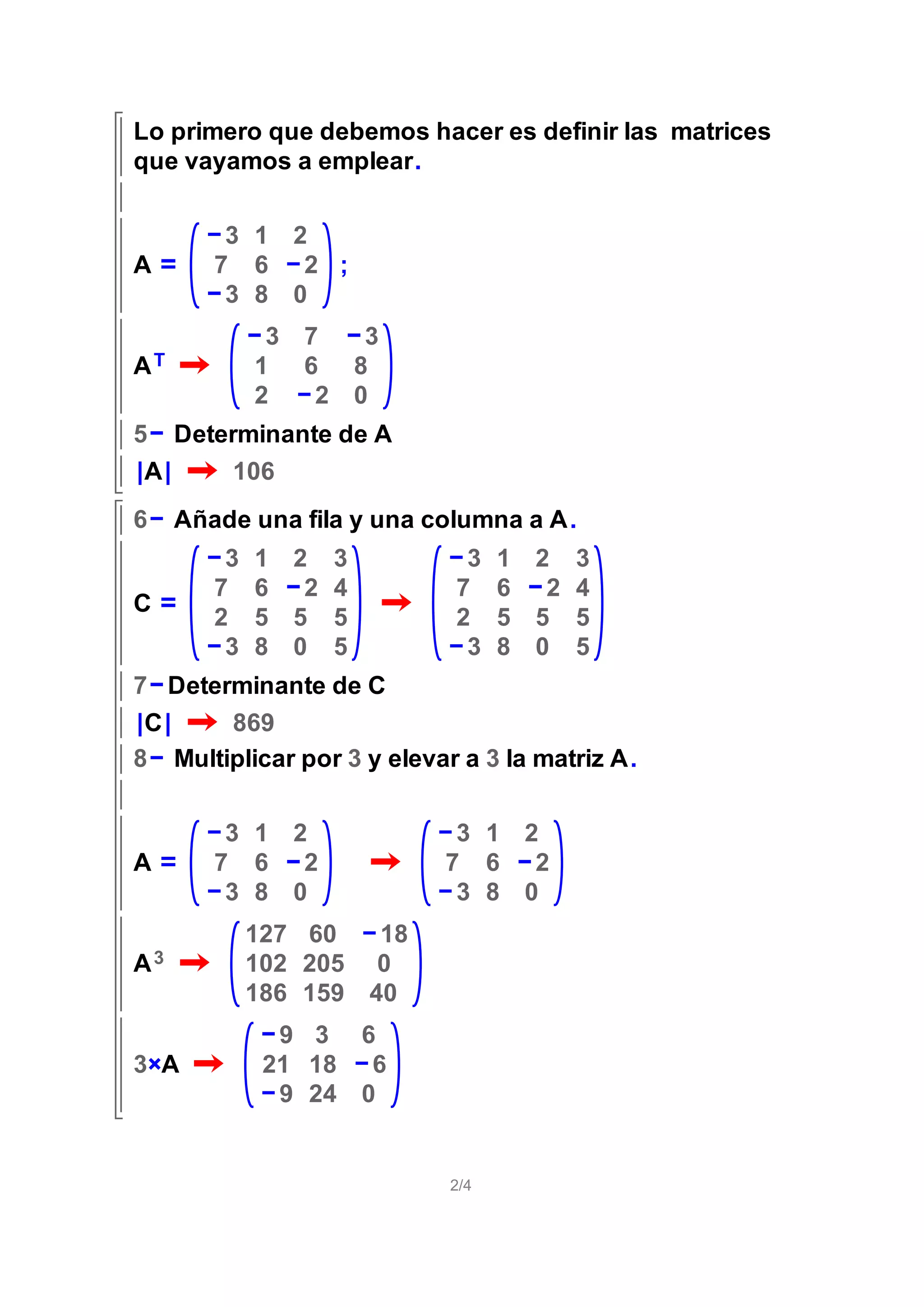 EJERCICIO DE MATRICES RESUELTO CON WIRIS | PDF