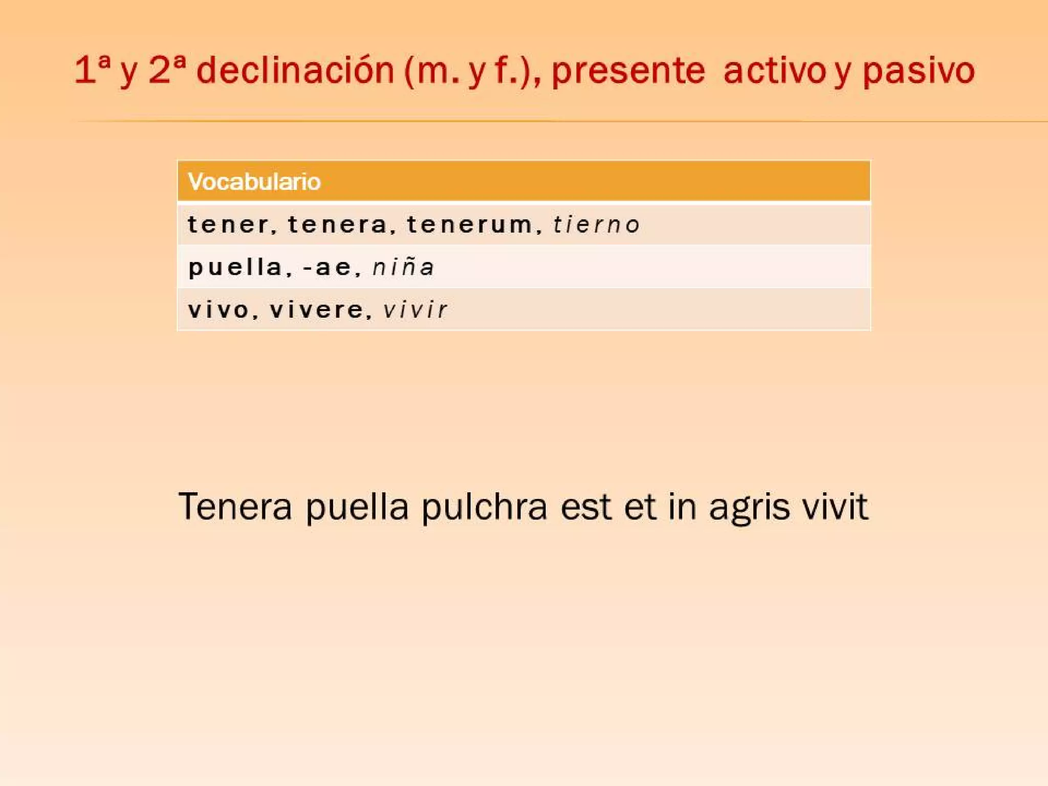 Ejercicios de Latín I (primera y segunda declinación) | PDF