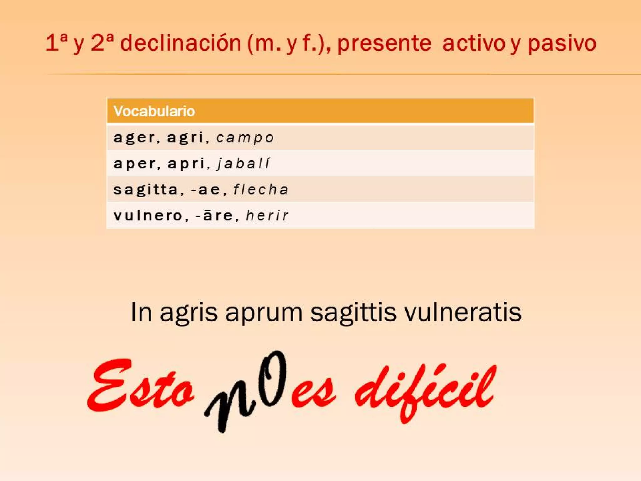 Ejercicios de Latín I (primera y segunda declinación) | PDF