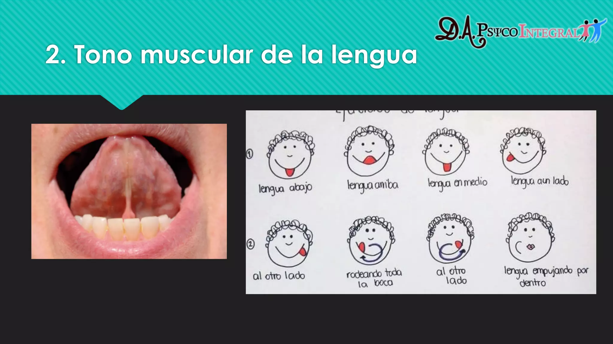 Ejercicios de Estimulación de lenguaje para casa (1) (1).pdf