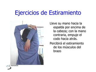 Ejercicios de estiramiento C | PPT