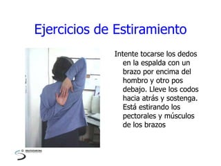 Ejercicios de estiramiento C | PPT