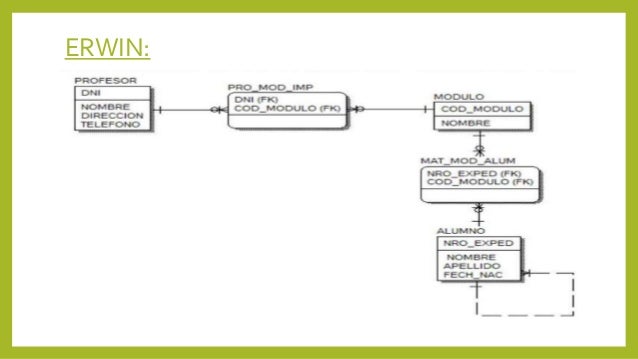 Ejercicios e-r Erwin