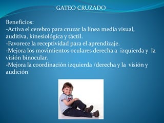 Ejercicios gimnasia cerebral | PPTX