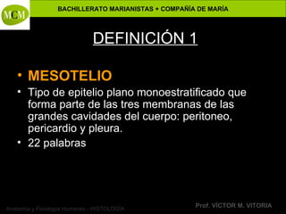 Ejercicios histologia epitelios 1 | PPT