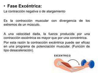 Ejercicios isotónicos | PPTX