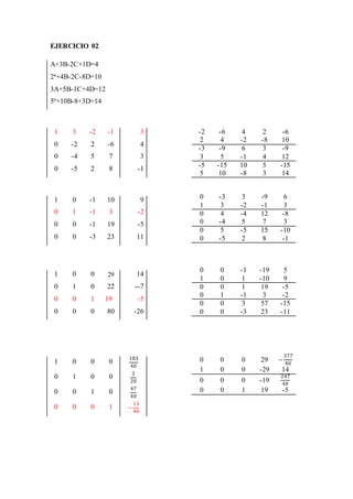 Ejercicios matriz aumentada de 4x4 | PDF