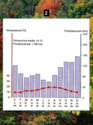 Ejercicios prácticos de climogramas de España | PDF