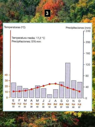 Ejercicios prácticos de climogramas de España | PDF