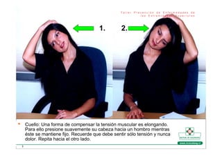 Ejercicios Prácticos De Elongación | PPT