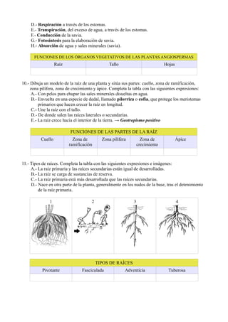 Ejercicios propuestos: SERES VIVOS. REINO PLANTAS | ODT