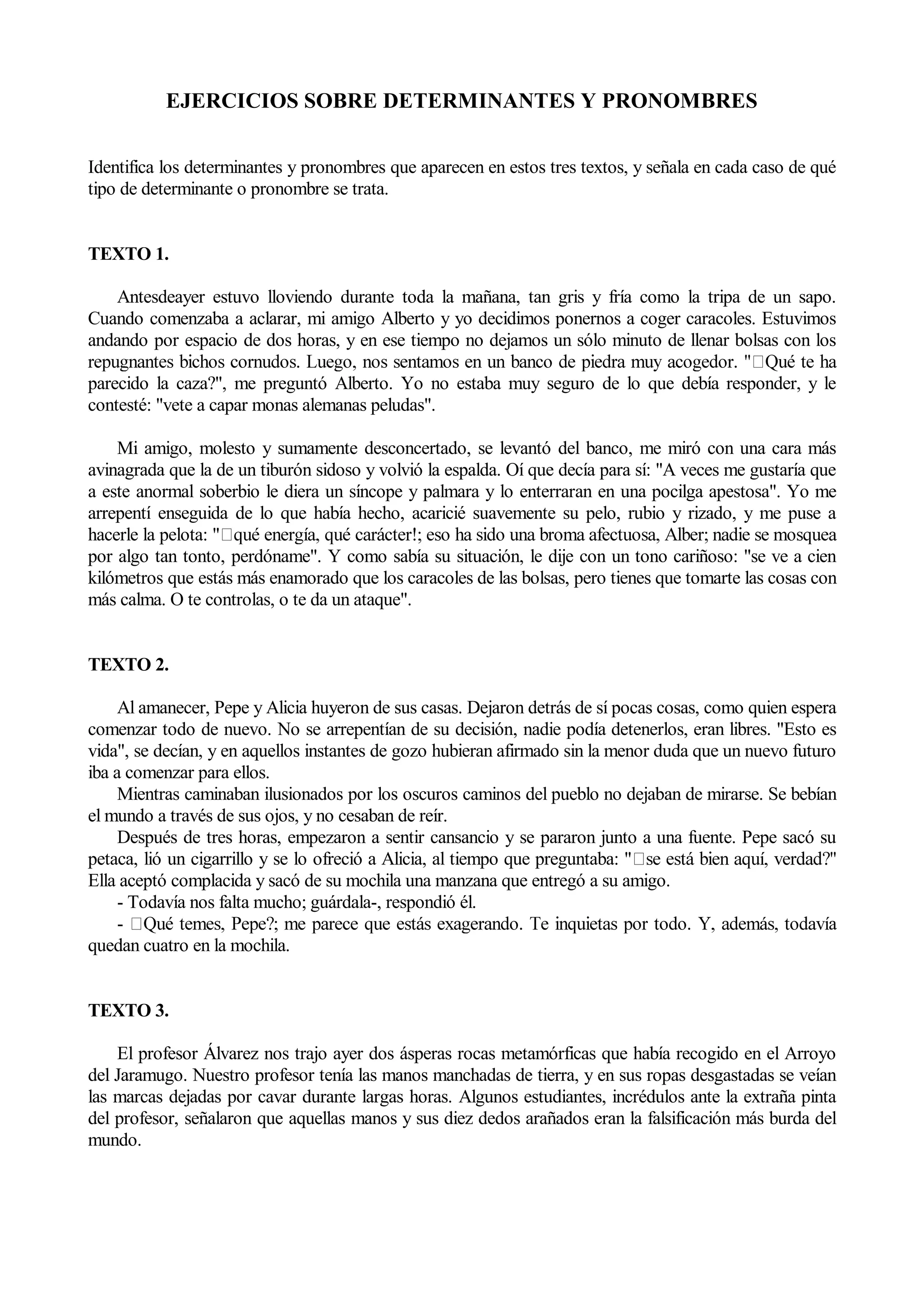 Ejercicios sobre determinantes y pronombres | PDF