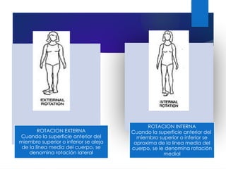 EJES Y PLANOS ANATOMICOS, MOVIMIENTOS CORPORALES.pptx
