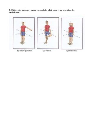 Ejes y planos | DOCX
