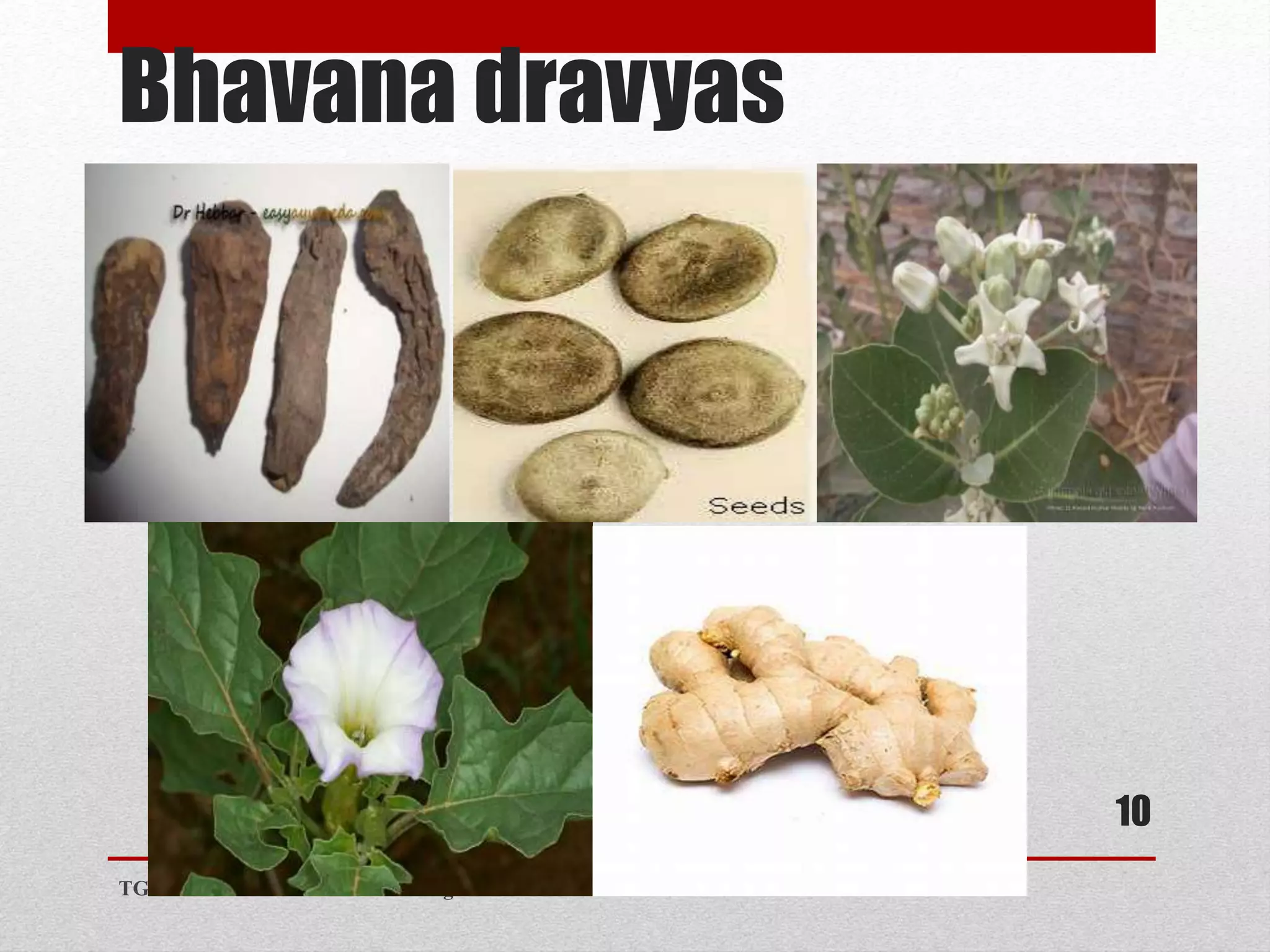 Ekangaveera rasa | PPTX