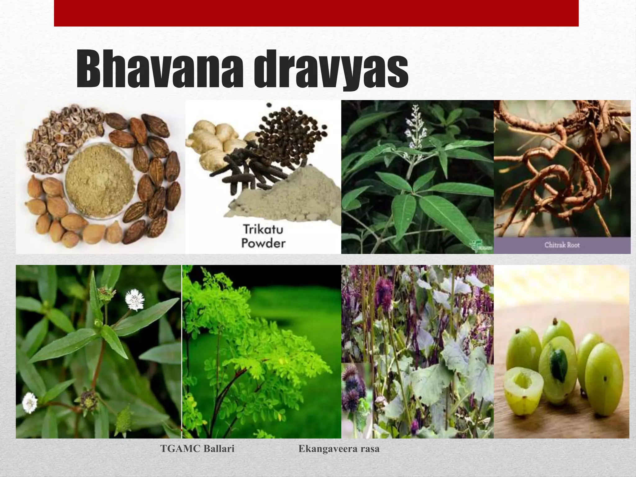 Ekangaveera rasa | PPTX