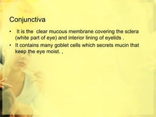 conjunctivitis | PPTX