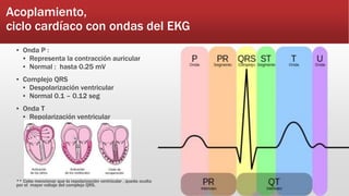 EKG Básico | PPTX