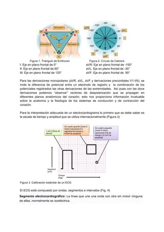 Ekg | PDF