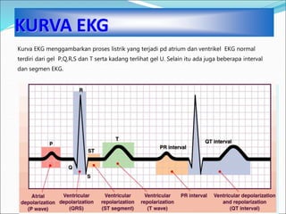 ekg.pptx
