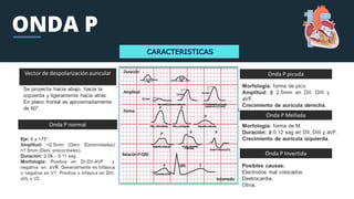 Electrocardiografía básica | PPT