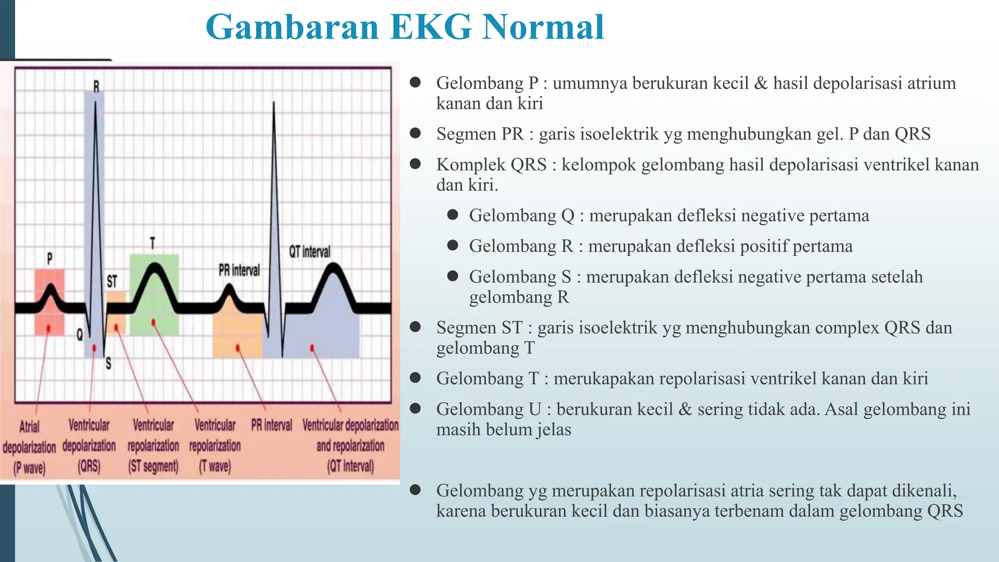Cara membaca EKG dengan baik dan benar, untuk tenaga kesehatan | PPT
