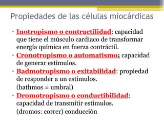 Interpretacion eIEctrocardiograma basio | PPT