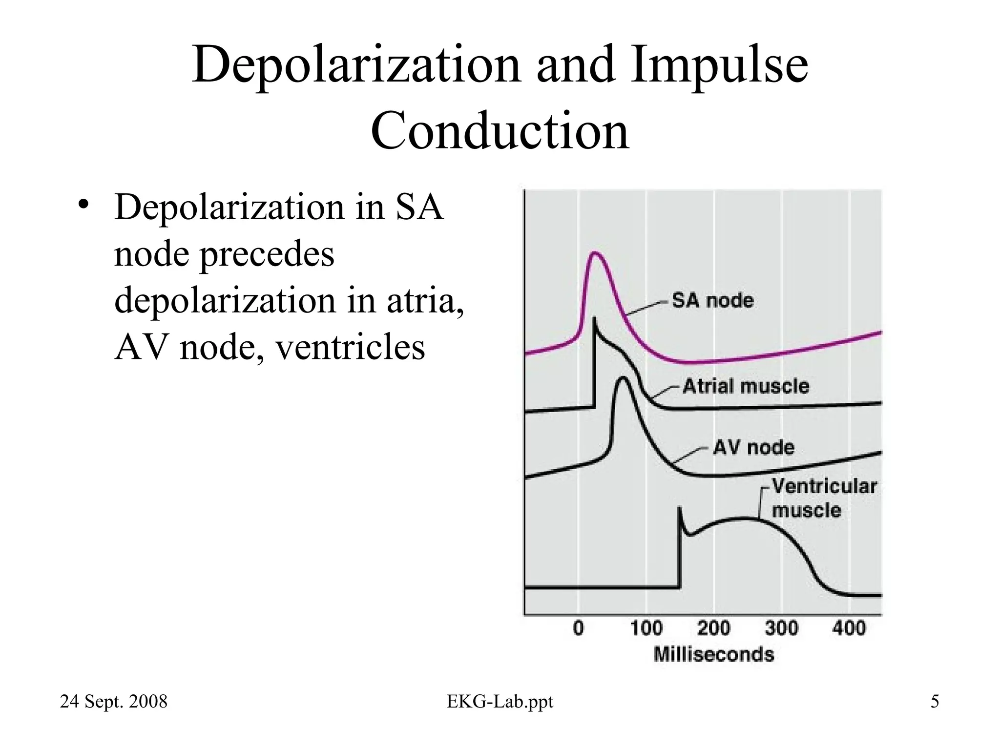 Ekg labCardiac electrophysiology | PPT | Heart and Cardiovascular ...