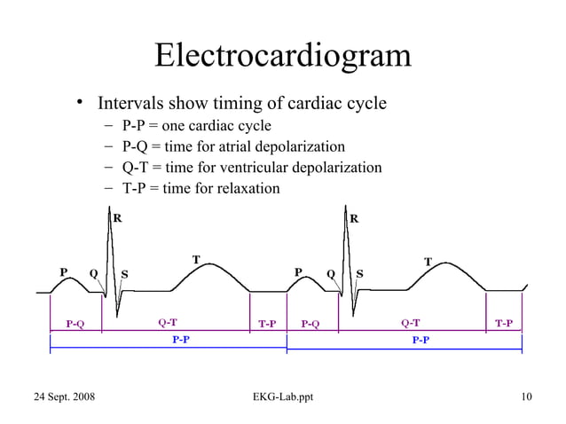 Ekg labCardiac electrophysiology | PPT