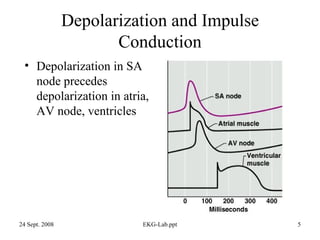 Ekg labCardiac electrophysiology | PPT | Heart and Cardiovascular ...
