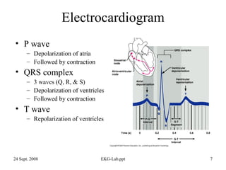 Ekg labCardiac electrophysiology | PPT | Heart and Cardiovascular ...