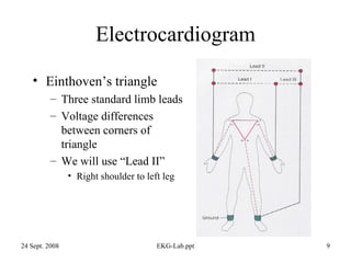 Ekg labCardiac electrophysiology | PPT | Heart and Cardiovascular ...