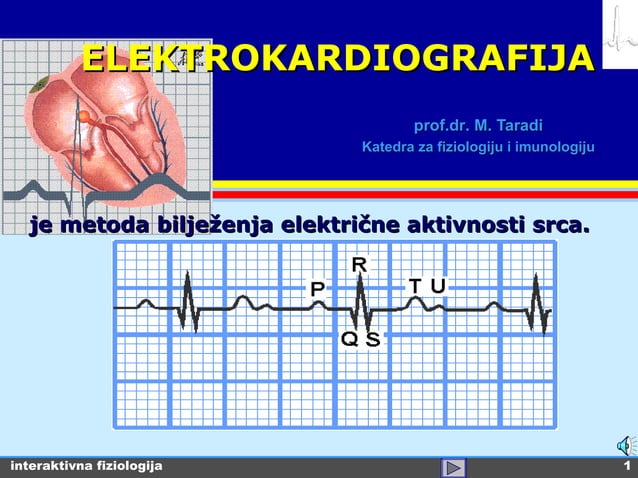 EKG | PPT