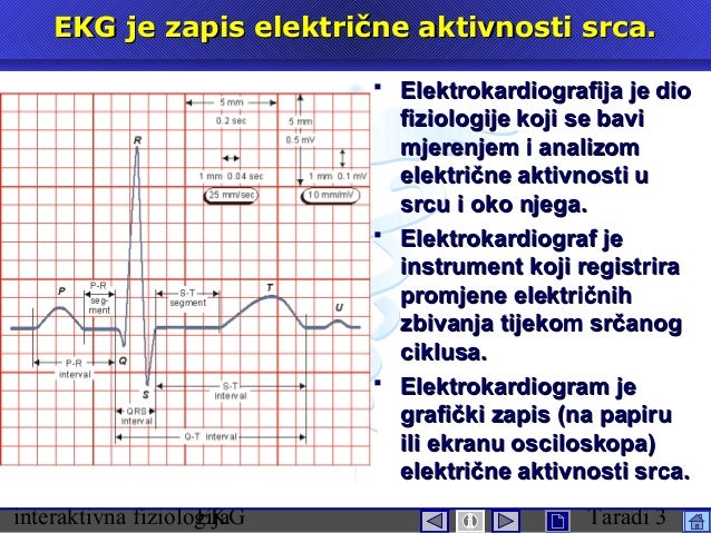 Jasika Milan Rakic Interpretacija Ekg A Milan Rakic, Iskrena Pesma