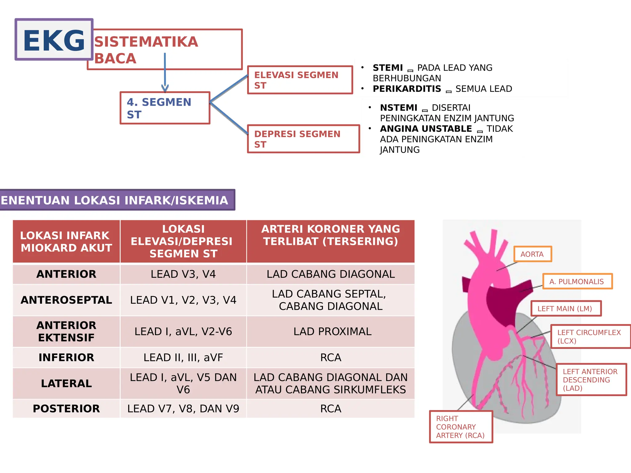 EKG DASAR BAHAN AJAR.pdf