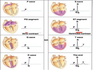 EKG DASAR BAHAN AJAR.pdf