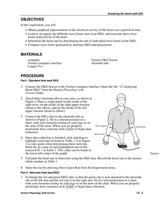 Ekg experiment 3 | PDF