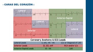 EKG FINAL POWER PONT.pptx