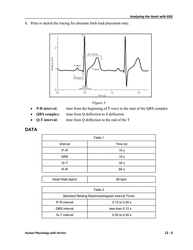 Ekg lab | PDF