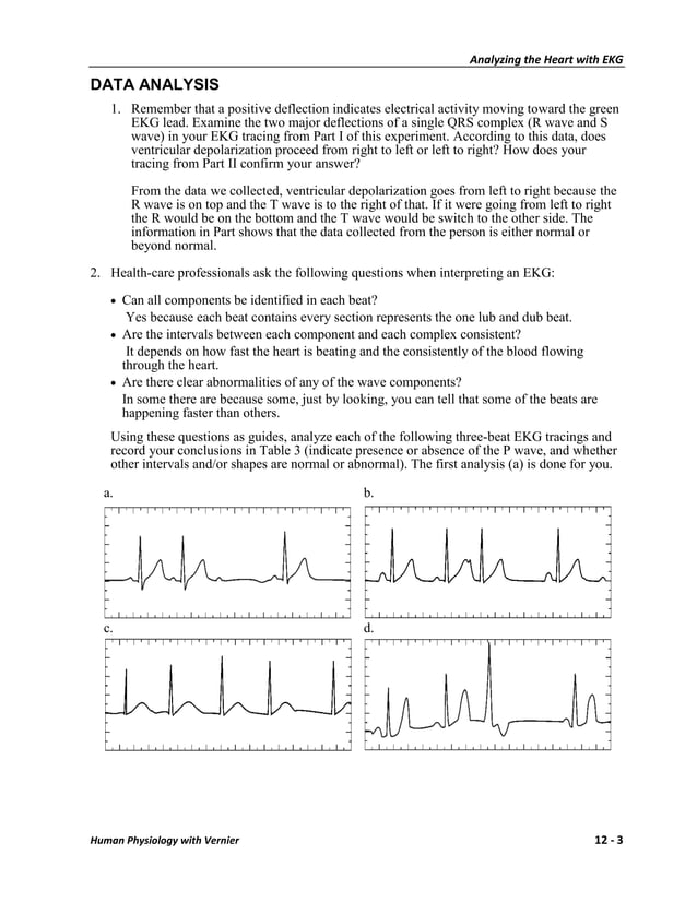 Ekg lab | DOCX