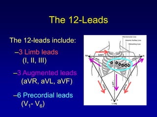 Ekg module 5 | PPTX