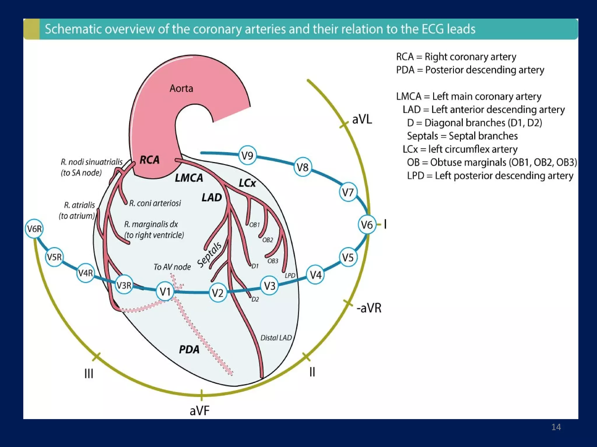 Ekg myocardial ischemia & Infarction | PPT