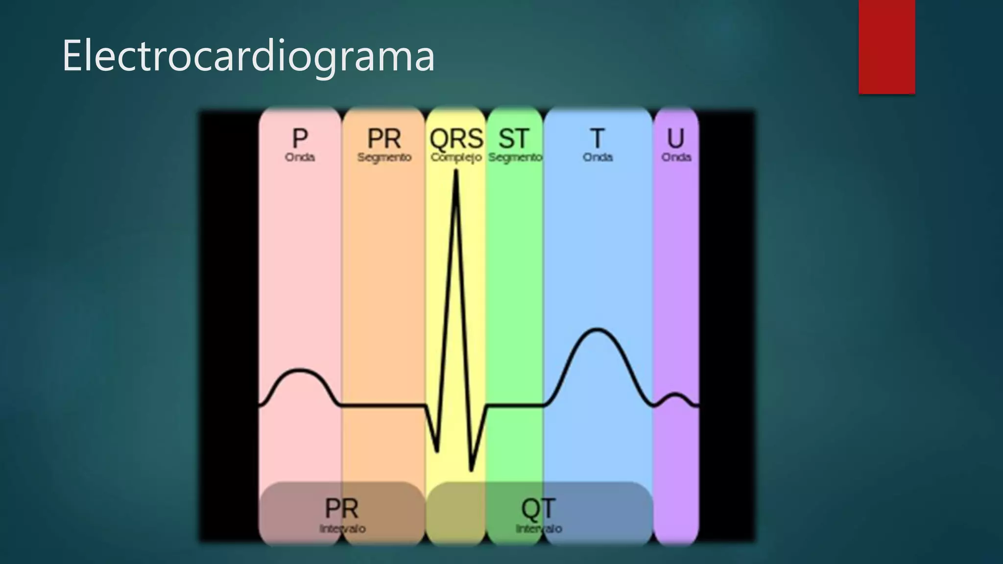 Electrocardiograma normal - básico | PPTX