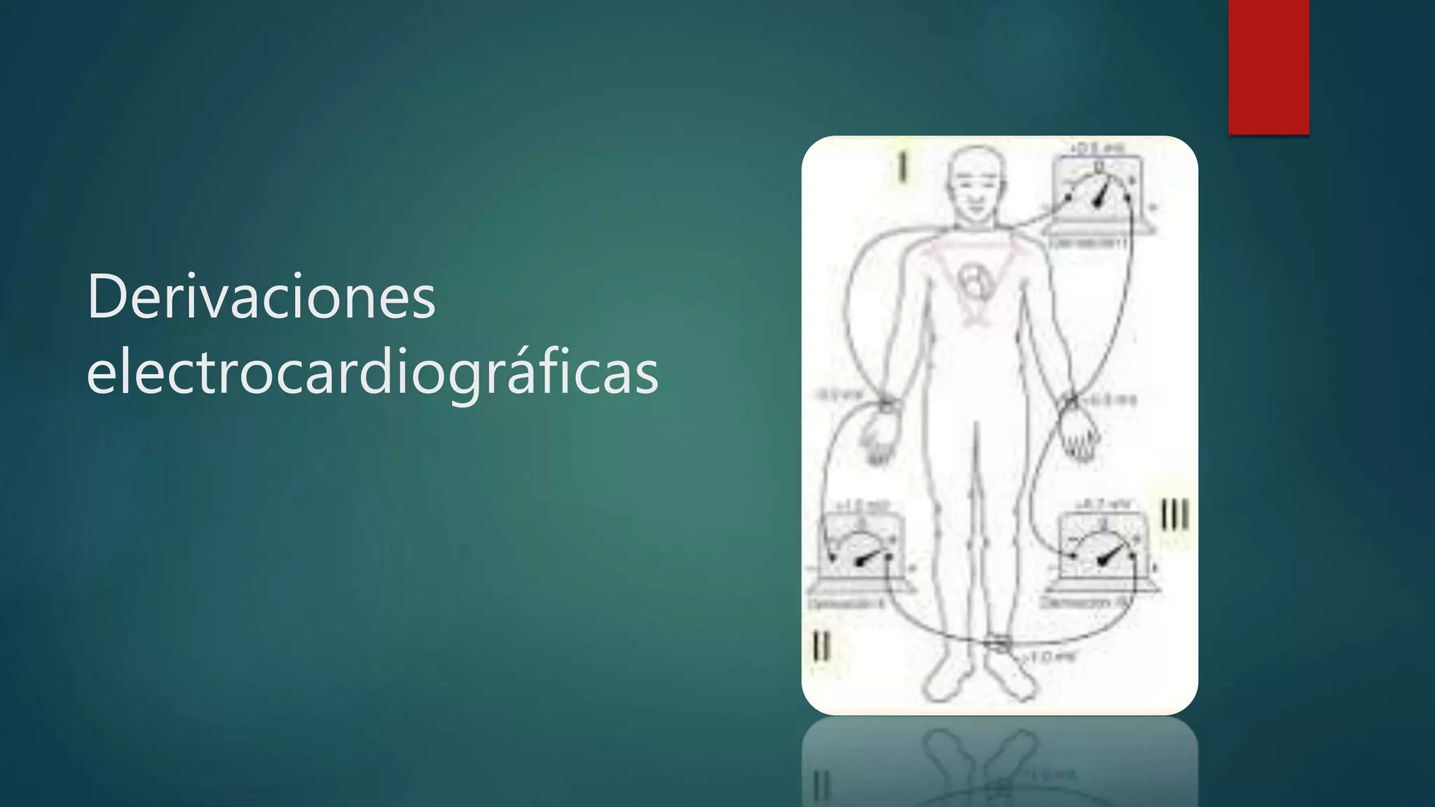 Electrocardiograma normal - básico | PPTX