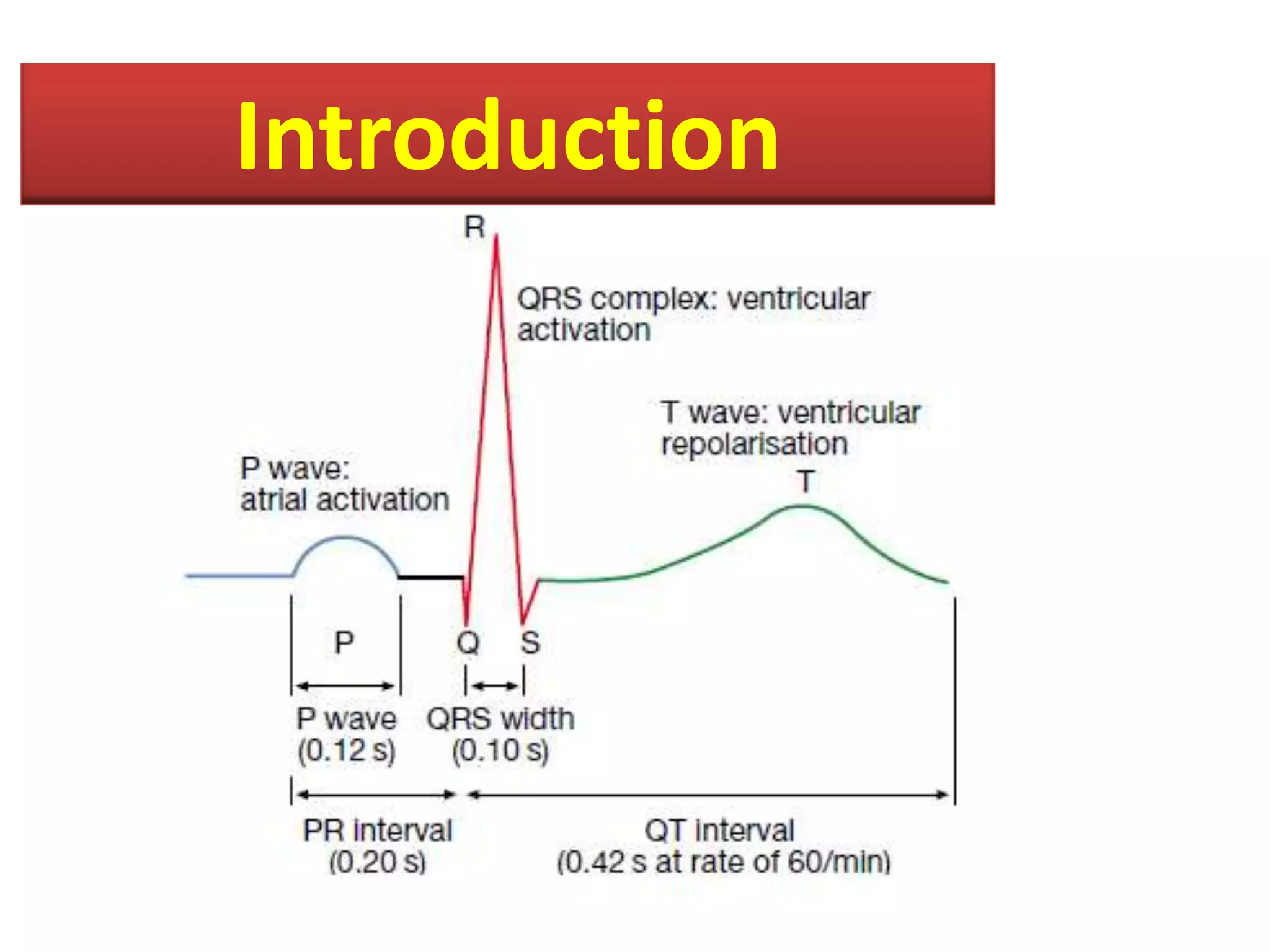 EKG normal.pptx